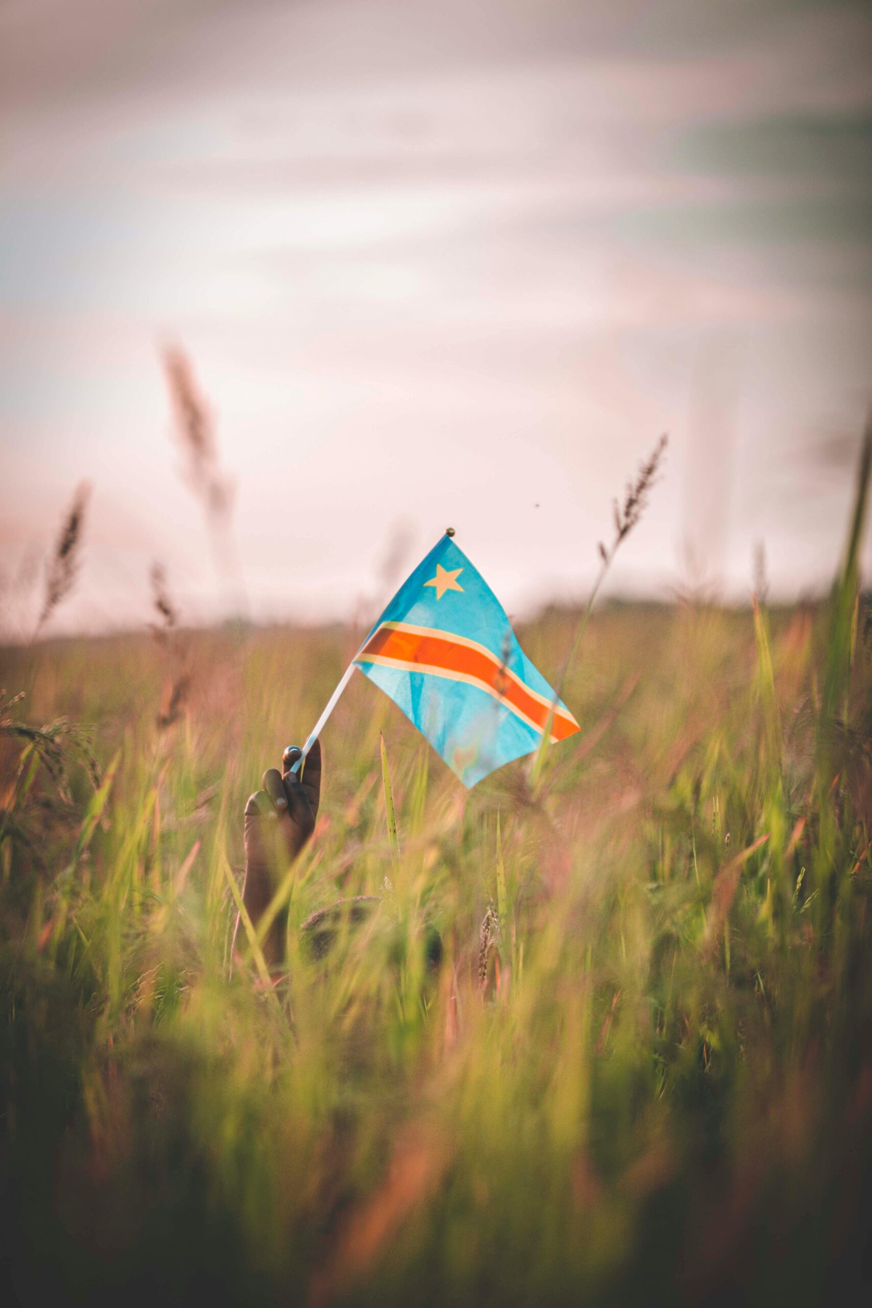 THE CURRENT SITUATION IN THE DEMOCRATIC REPUBLIC OF CONGO (DRC): A ...